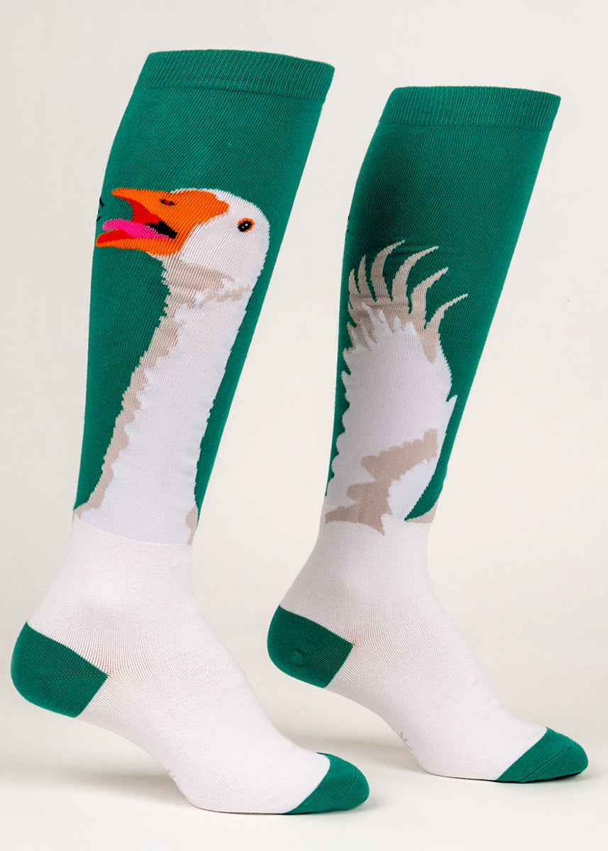 Bird Socks for Men & Women | Novelty Socks With Bird Species - Cute But ...