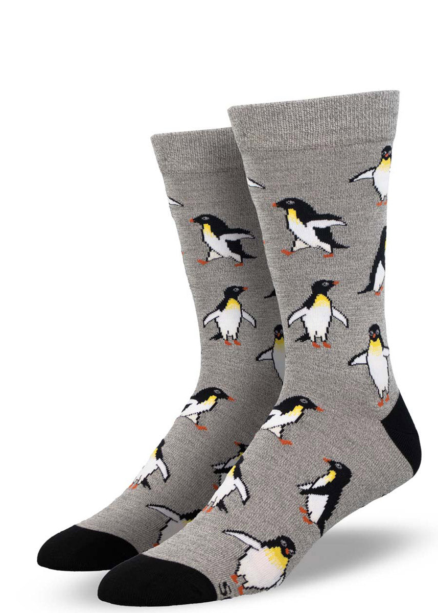 Bird Socks for Men & Women | Novelty Socks With Bird Species - Cute But ...